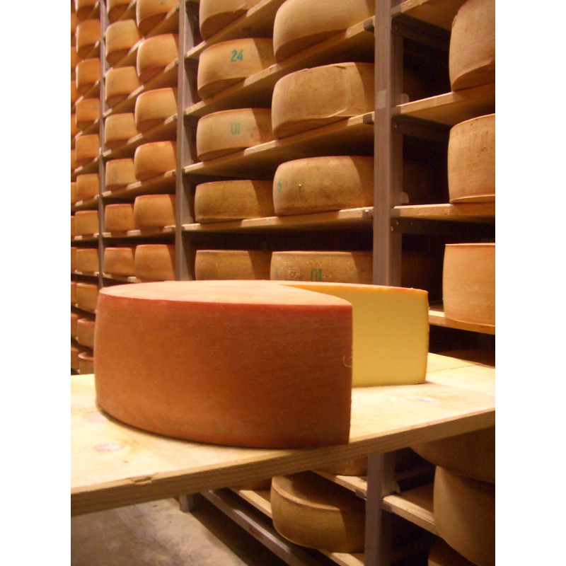 Meule de Savoie "La Dent du Chat" Bio